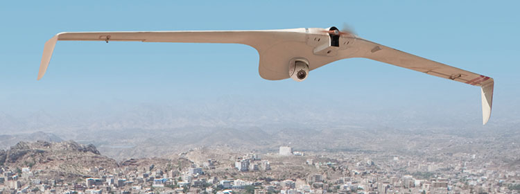 Land Defense and Combat Support System | IAI