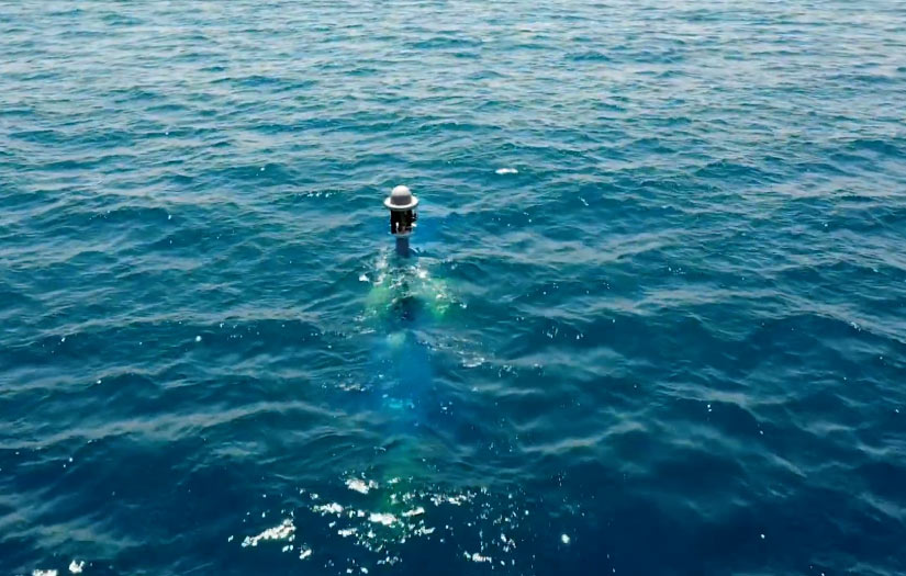 BlueWhale System ELI-3325 | IAI | ELTA Systems